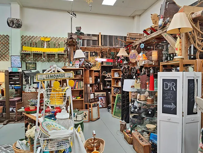 A wonderland of mismatched treasures where vintage lemonade stands neighbor with fishing gear and farmhouse finds.