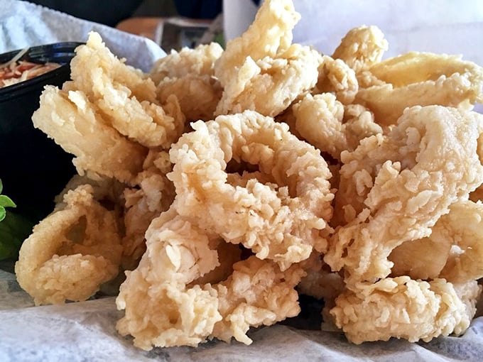 Fried calamari so light and crispy, it makes you wonder if these squid spent their lives training to become the perfect appetizer.