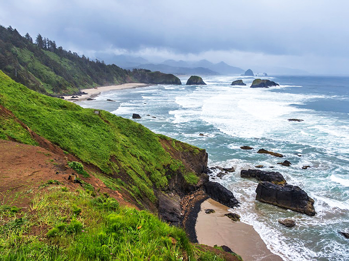 Nature's drama department showing off again—Oregon's coastline delivers the kind of views that make smartphones feel wholly inadequate.