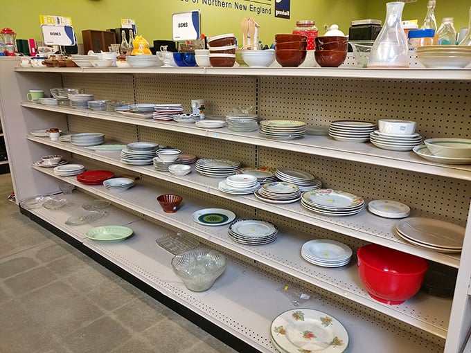 Plate paradise where mismatched becomes charming. That floral-rimmed dinner plate might have served Sunday roasts to three generations before landing here.