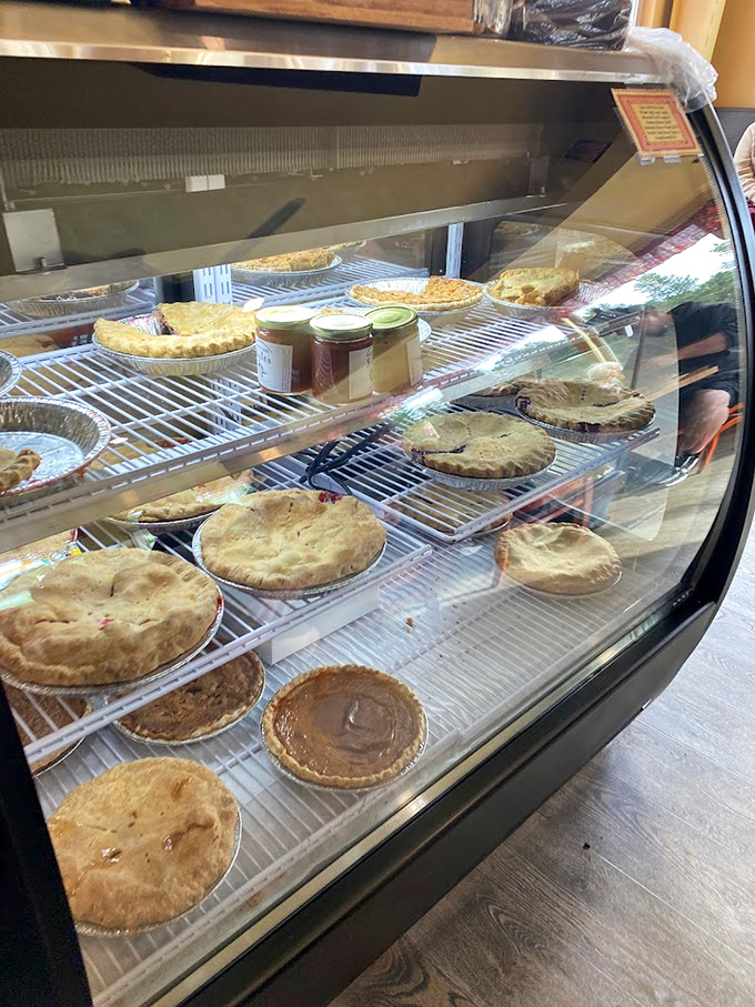 The pie case at Otis Café isn't just a display – it's a museum of deliciousness where every exhibit deserves your careful consideration and eventual consumption.