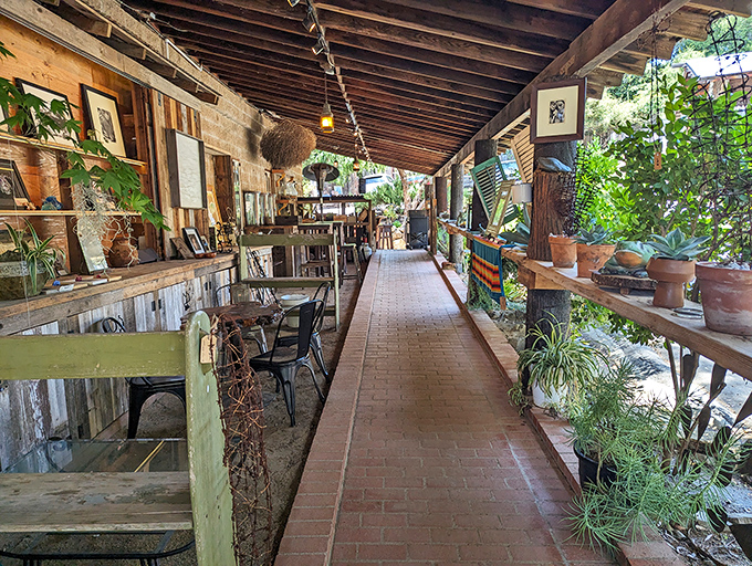 The covered walkway feels like a museum of rustic charm, where plants and antiques create California's most inviting corridor.