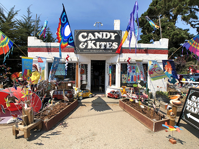 Candy & Kites—where childhood joy comes in two perfect forms: sugar rushes and things that fly, proving some combinations are simply unimprovable.