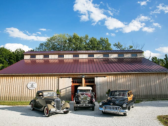 The museum's unassuming exterior gives little hint of the mechanical treasures within—like finding a chest of gold in a weathered barn.