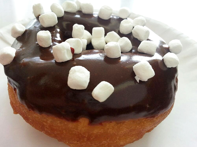S'more donut? Yes, please! Chocolate glaze topped with mini marshmallows brings campfire vibes indoors, minus the mosquitoes and ghost stories.