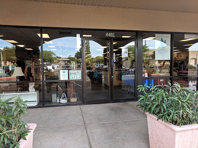 The welcoming entrance beckons with promises of air-conditioned treasure hunting—Arizona's favorite indoor sport during those 115-degree summer days.