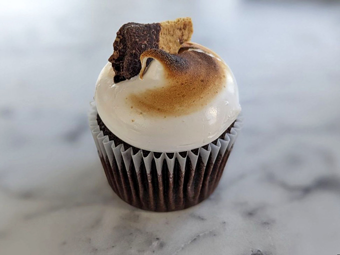 This isn't just a cupcake—it's a perfectly proportioned dessert with a toasted marshmallow crown that makes you wonder why all cupcakes don't come with their own campfire moment.