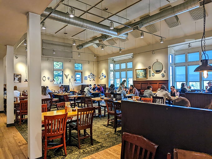 The dining room hums with the universal language of breakfast joy—forks diving into pancakes and the satisfied murmur of coffee-fueled conversation.