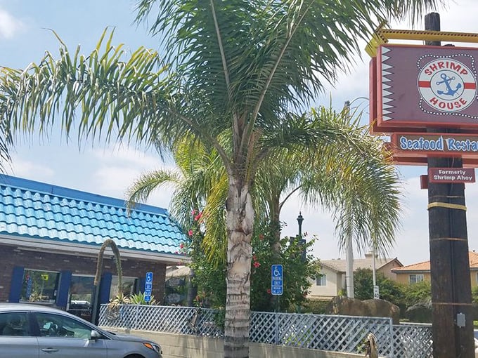 The view that greets hungry seafood seekers. That palm tree isn't just decoration—it's signaling "tropical flavors ahead" in suburban Arcadia.