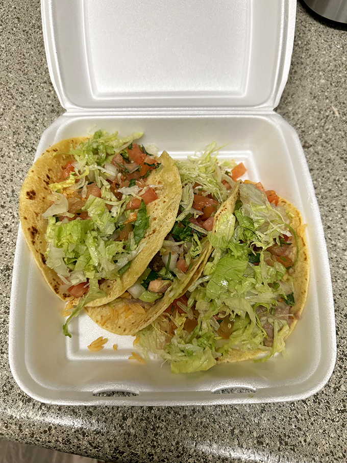 Layer upon glorious layer – these nachos are built like a delicious archaeological dig where every level reveals new treasures.