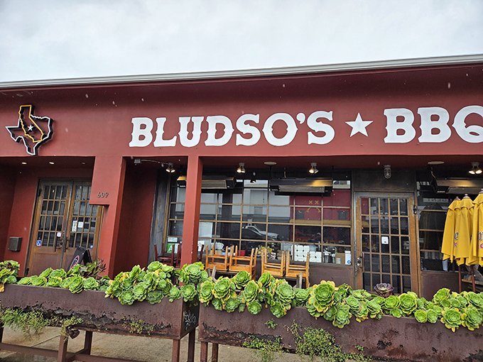 The bright red facade of Bludso's BBQ stands like a temple to Texas-style meat worship, complete with succulent greenery that won't judge your carnivorous cravings.