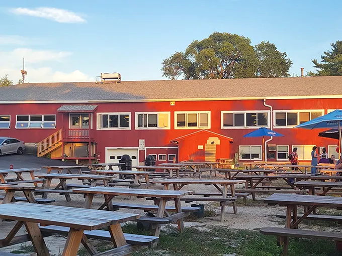Picnic tables ready for action – where lobster bibs become fashion statements and butter is a perfectly acceptable beverage.