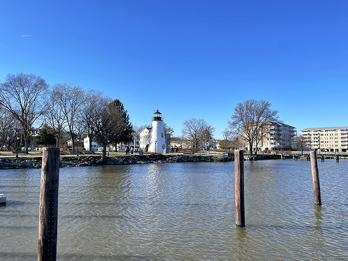 Concord Point Lighthouse stands sentinel where the Susquehanna meets the Chesapeake. Nearly 200 years of maritime history in one photogenic package.