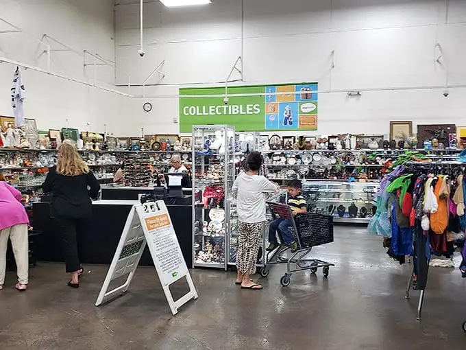 Inside awaits a treasure trove of possibilities, where the "Collectibles" section might just house your next conversation piece.