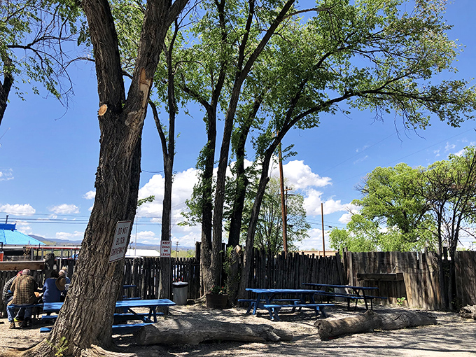 Nature provides the dining room ceiling here – cottonwood trees create dappled shade perfect for savoring that green chile burrito on a spring afternoon.