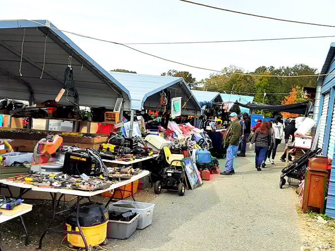 This isn't just shopping—it's a social event where strangers become friends over shared finds and the thrill of the hunt.
