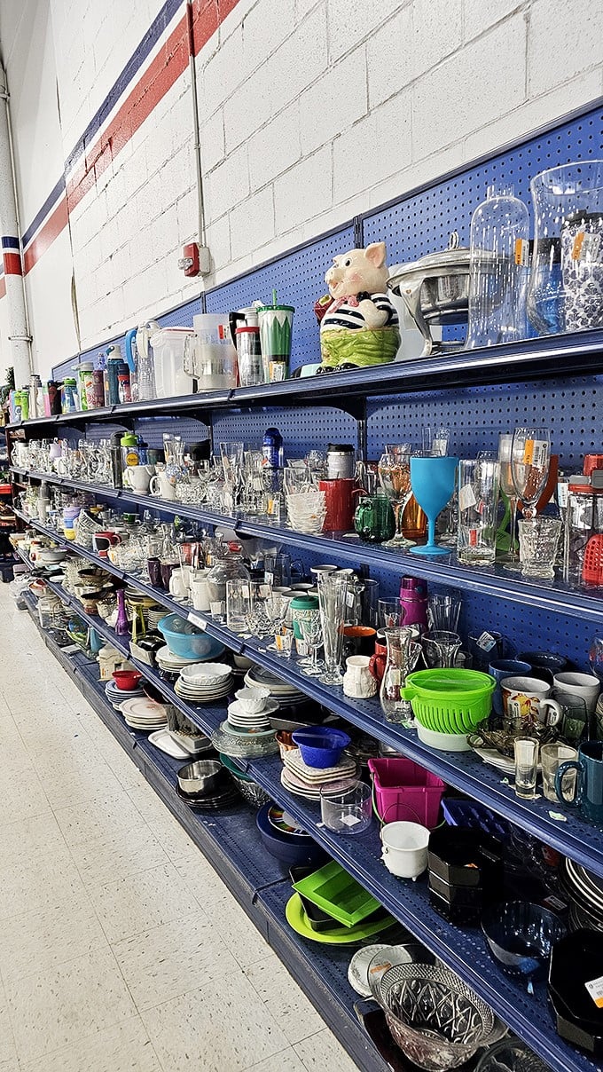 Each shelf tells a story of American kitchens past – that mouse-shaped cookie jar might have seen more family gatherings than your holiday table.