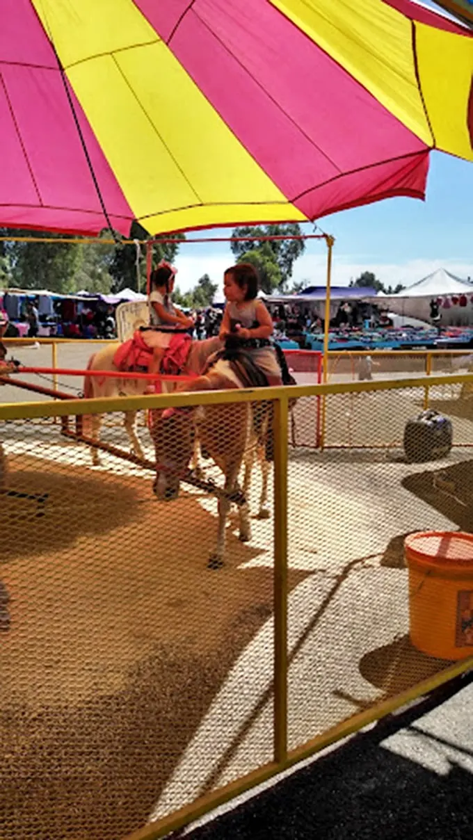Childhood memories in the making. This pony ride brings the same joy today as it did decades ago, proving some pleasures never go digital.