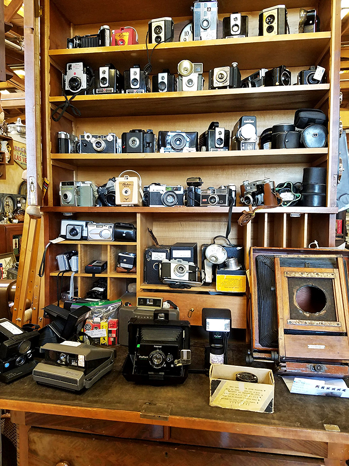 A shrine to mechanical eyes that witnessed decades before digital amnesia. Each camera holds thousands of forgotten moments, waiting for their second chance.