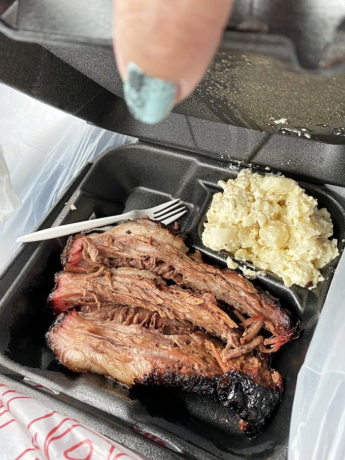 Behold the brisket in its natural glory—that bark, that smoke ring, that potato salad sidekick. Poetry on a plastic tray.