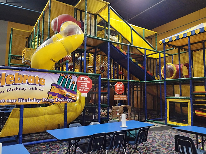 Colorful tubes and slides that would make adult-sized hamsters jealous. Who said playground engineering peaked in elementary school?