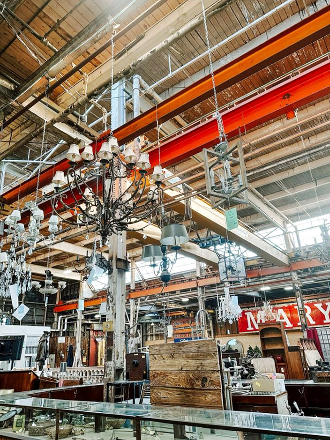 The lighting section dangles with possibility—from elegant crystal chandeliers to industrial pendants. It's like a museum where everything has a price tag.