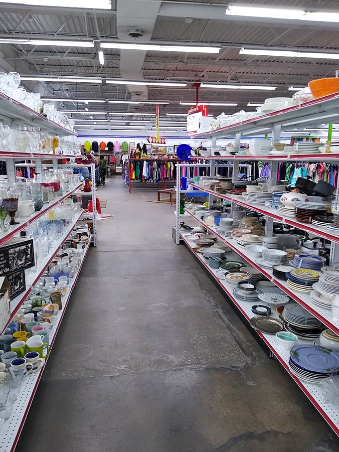 Rows of glassware gleam under fluorescent lights, from your grandmother's pattern to that missing piece from your wedding set – thrifting serendipity awaits.