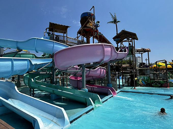 Twisting slides in purple and teal deliver riders into refreshing pools below—nature's perfect antidote to Maryland's famous humidity.