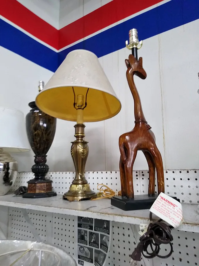 That wooden giraffe lamp isn't just illumination—it's conversation-starting décor that whispers, "Yes, I have stories to tell."