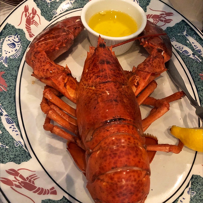 This magnificent lobster, resplendent in its crimson armor, isn't just dinner—it's a crustacean celebration waiting to be dipped in that golden butter.
