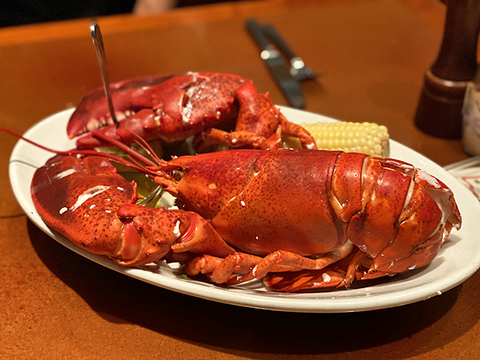 Behold the lobster in all its crimson glory—nature's way of packaging sweet, tender meat in armor that requires both tools and determination.