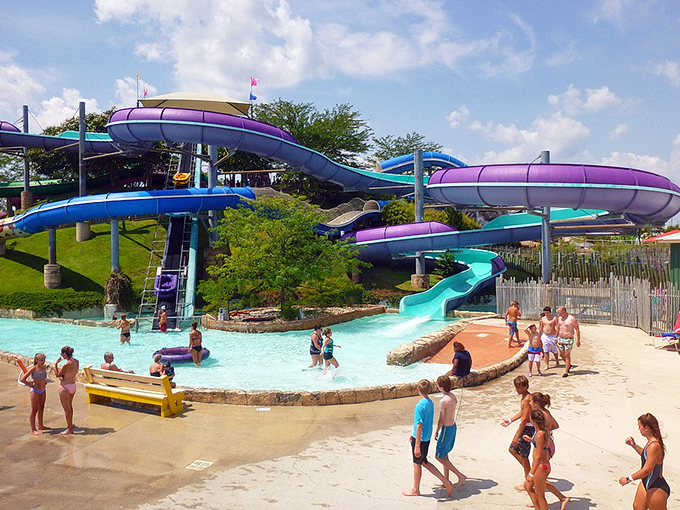 Water slide heaven awaits the brave! Twisting tubes in vibrant purples, blues, and teals promise thrilling descents into refreshing pools below.
