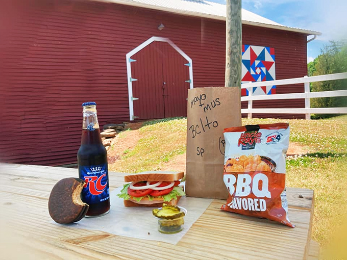 Rural picnic perfection – an RC Cola, homemade sandwich, and BBQ chips create a trinity of simple pleasures worth the drive to Bostic.