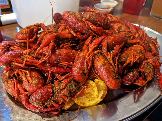 Crawfish so vibrant they practically dance on the plate. This mountain of perfectly seasoned mudbugs makes you forget you're hundreds of miles from Louisiana.