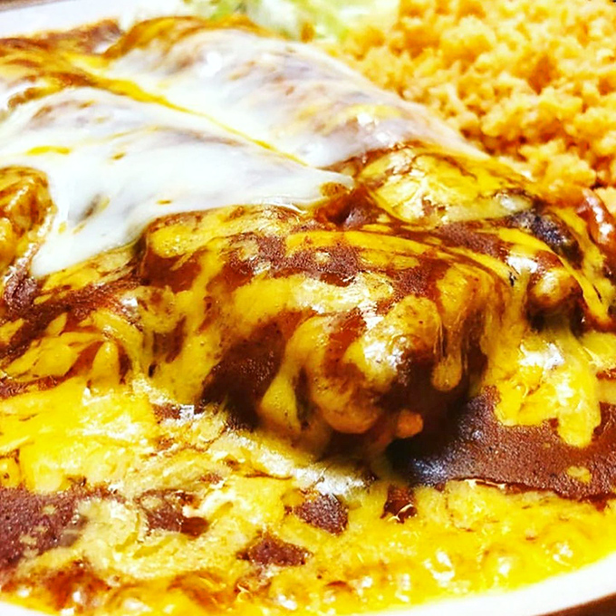 Cheese meets sauce in a melty Mexican masterpiece. This enchilada doesn't need fancy plating or garnishes—it lets the unapologetically delicious flavors do all the talking.