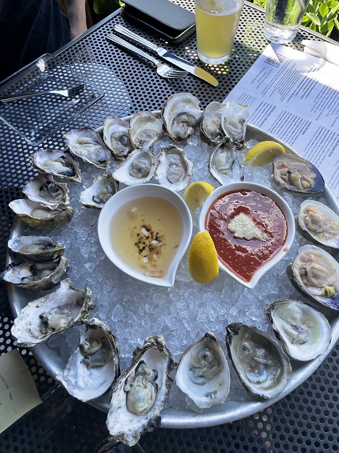 A perfect circle of briny delights—these oysters aren't just seafood, they're little cups of ocean perfection waiting for their lemon baptism.