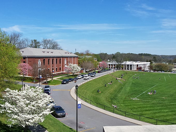 The University of North Georgia's Dahlonega campus blends academic tradition with breathtaking mountain scenery, creating an idyllic college setting straight from central casting.