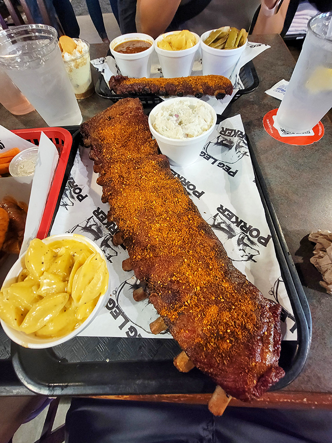 Behold the holy grail of barbecue—a full rack of dry-rubbed ribs displaying that perfect pink smoke ring beneath.