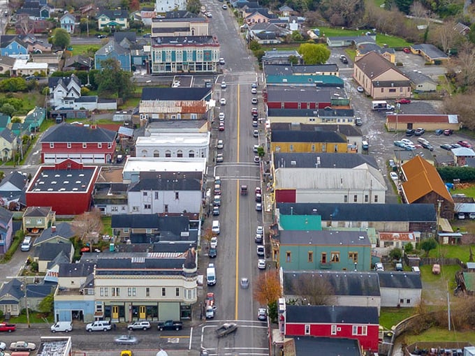 From above, Ferndale reveals its perfect small-town layout—a main drag flanked by neighborhoods where every roof has a story to tell.