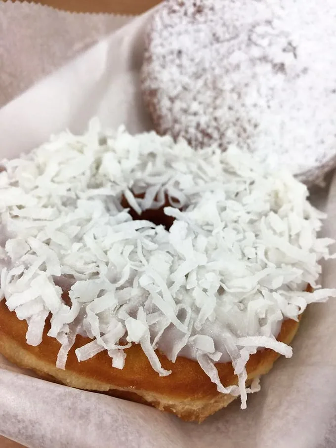 The coconut donut doesn't whisper its presence—it announces itself with a blizzard of sweet shreds. That powdered sugar companion looks equally ready for its close-up.