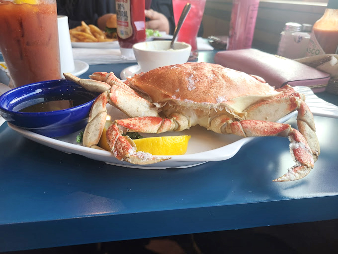 This crab sandwich isn't just lunch—it's a Pacific Northwest handshake, complete with sweet meat and a lemon wedge for that perfect zing.