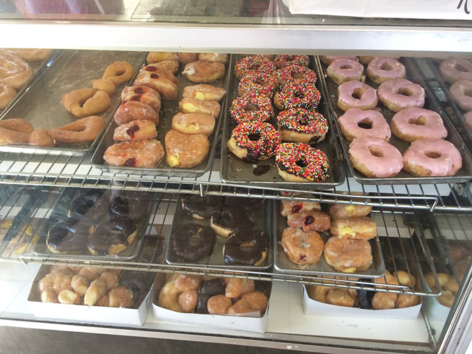 Donut heaven exists, and it looks exactly like this display case. Decision paralysis has never been so delicious.