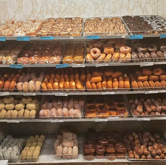 Donut heaven exists, and it has shelves. This display case is what dreams are made of – specifically, the dreams I have after skipping dinner.