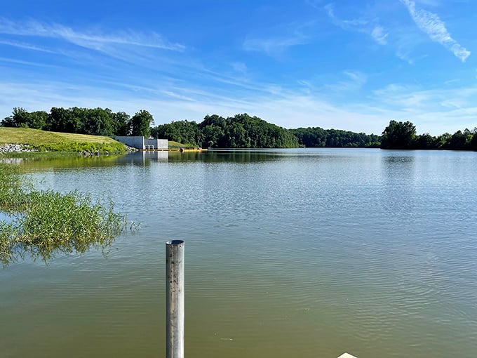 Who needs ocean views when Culpeper offers tranquil lake escapes like this? The water's surface is as smooth as the best crème brûlée I've ever tasted.