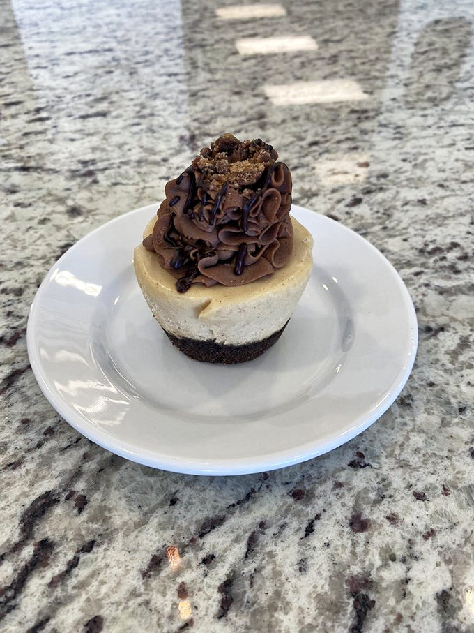This isn't just chocolate on vanilla—it's a diplomatic summit between cocoa and cream with a cookie crust moderating the delicious debate.