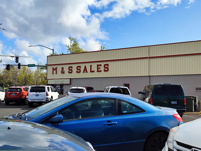 Where practicality meets possibility: M&S Sales waits beneath cloudy skies, its parking lot filling with Oregon's savviest shoppers.