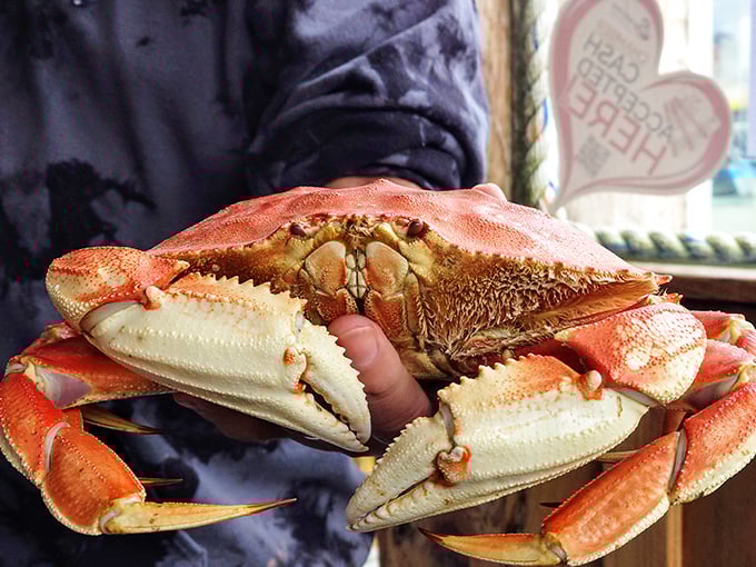 Nature's perfect design: the Dungeness crab. Like the seafood equivalent of finding out your hotel room got upgraded to a suite.