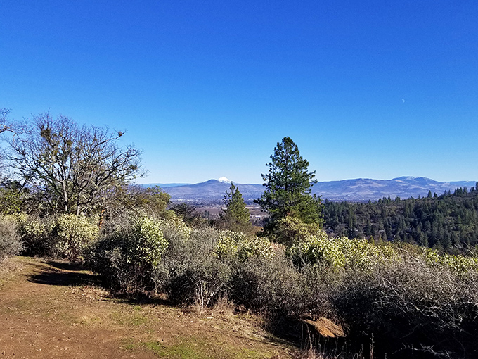 Nature's gallery on display. The Rogue Valley stretches out below like a landscape painting you can actually walk into—no museum admission required.