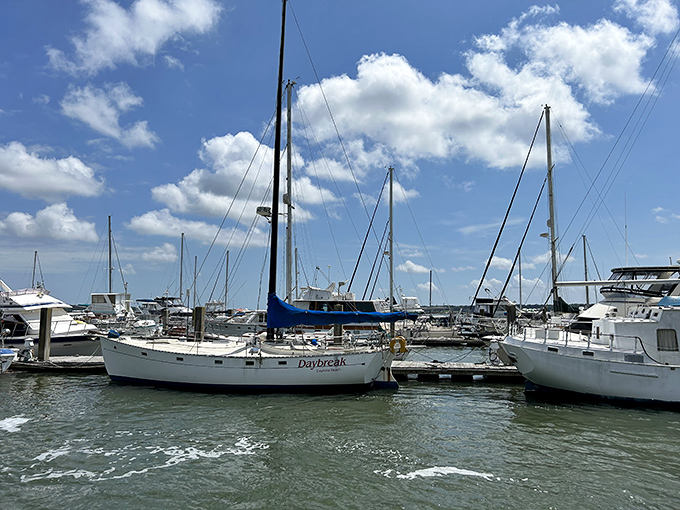 Not just boats, but floating stories – each vessel in Beaufort's marina represents someone's dream, adventure, or very expensive hobby.