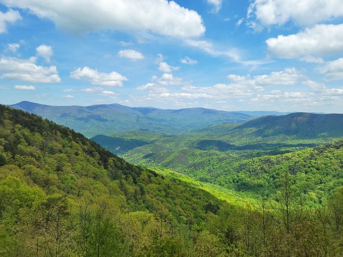 The verdant patchwork of the Chattahoochee National Forest stretches to the horizon like nature's quilt—sewn together with rivers, ridges, and enough oxygen to make city dwellers dizzy.